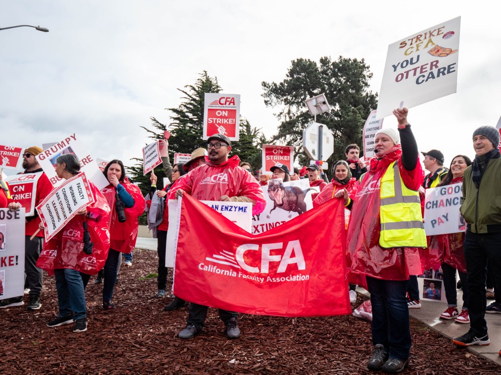 Day one of the CFA strike - The Lutrinae