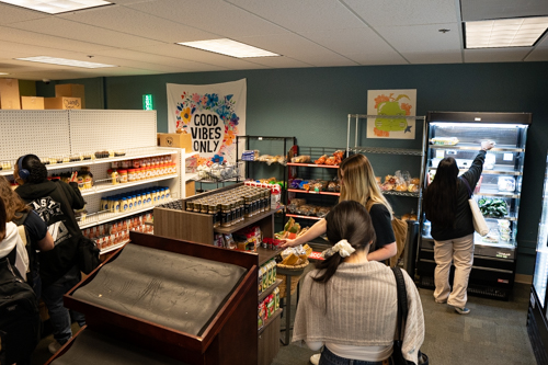 Basic Needs Hub faces unprecedented pressures - The Lutrinae